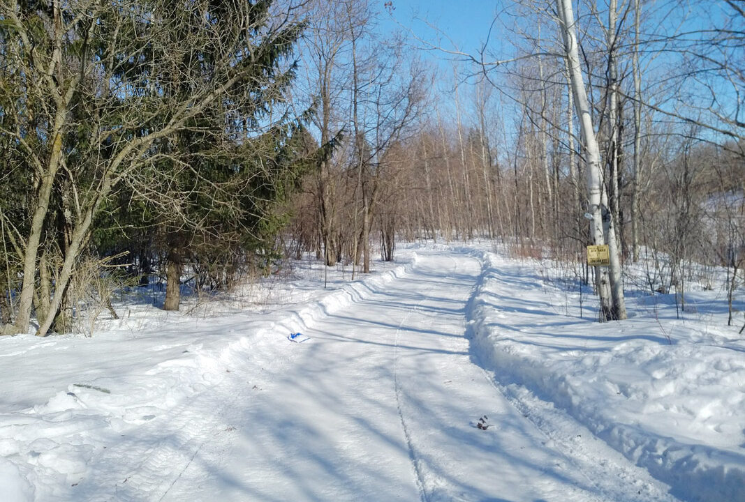 Winter-Ready Trails: Exploring ATV Trails In Ontario During The Winter ...
